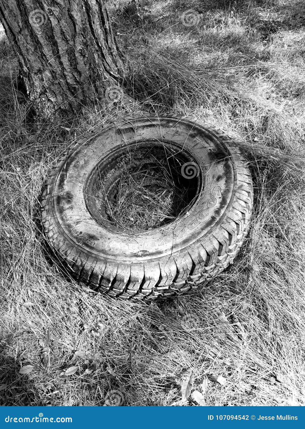 Lonely tire stock photo. Image of grass, circle, tire - 107094542
