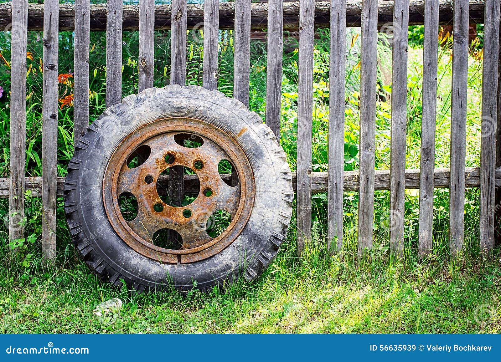 Old Tire stock image. Image of tires, wood, fence, truck - 56635939