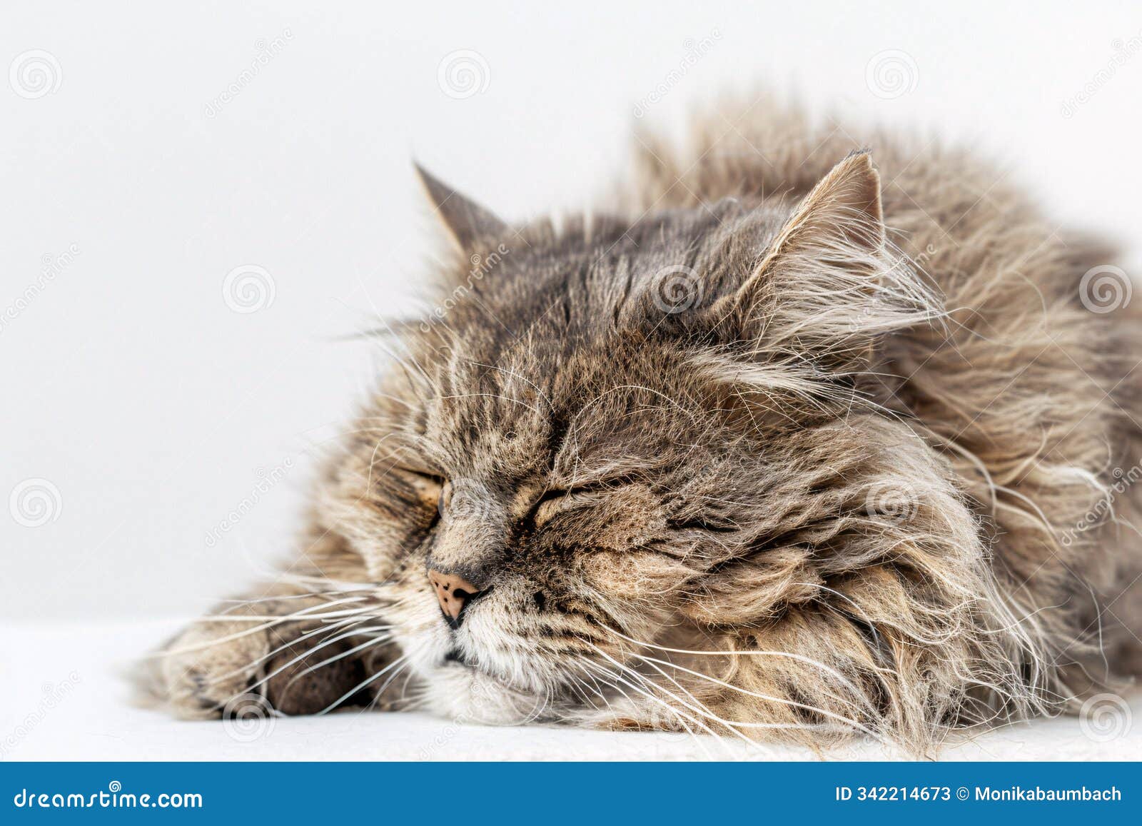 Shot Of A Tired Housewife With Neck Pain Holding Her Mobile Phone ...