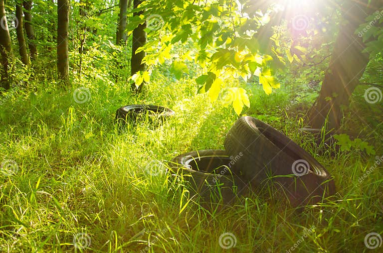 Old Tires in the Forest Pollution of Environment Stock Image - Image of ...
