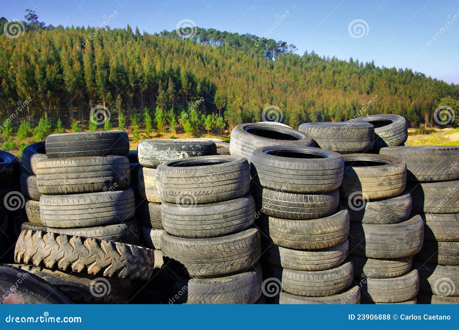 Old Tires near trees stock photo. Image of stacked, cover - 23906888