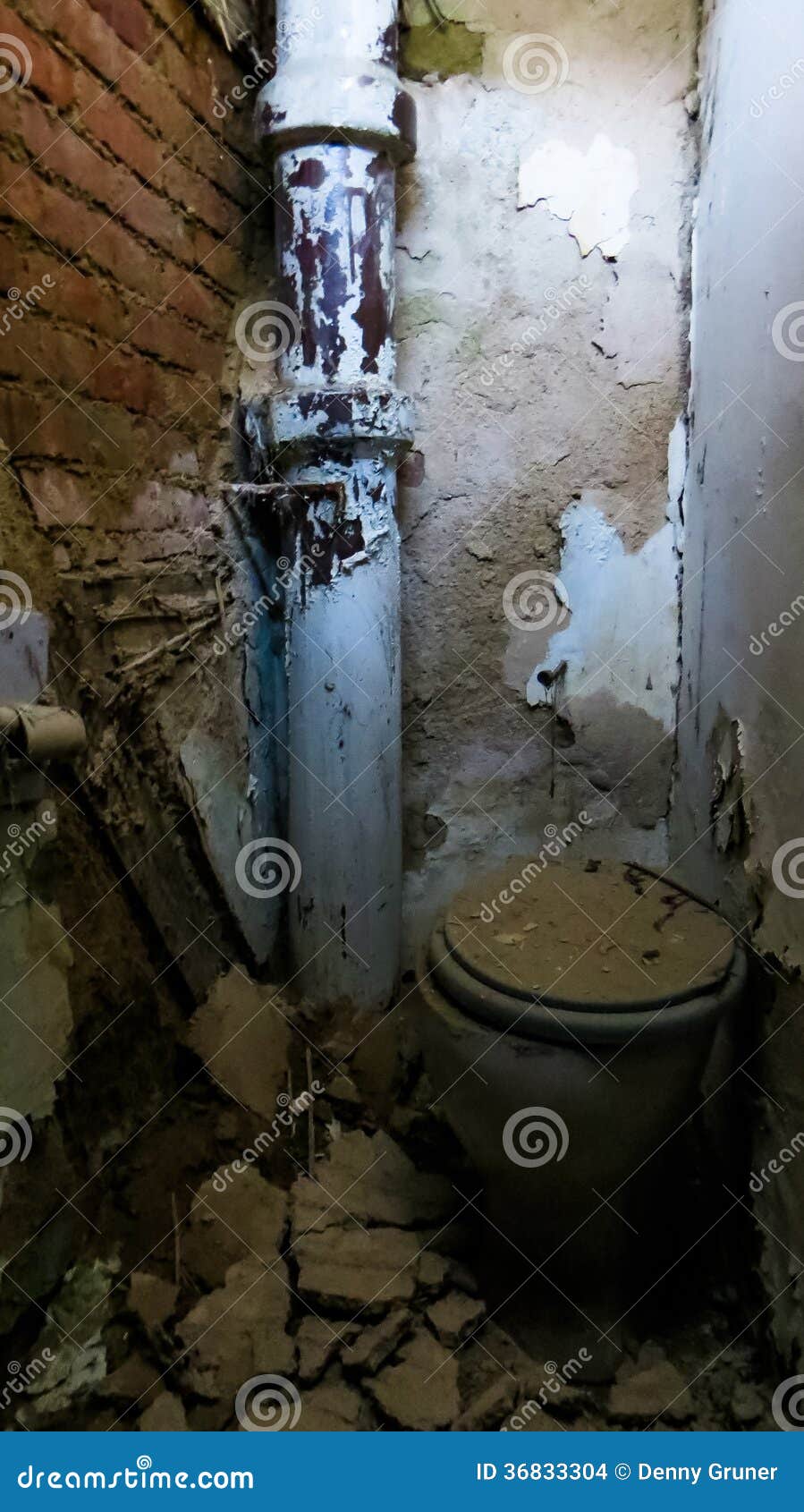 Old toilet stock photo. Image of waste, house, shadow - 36833304