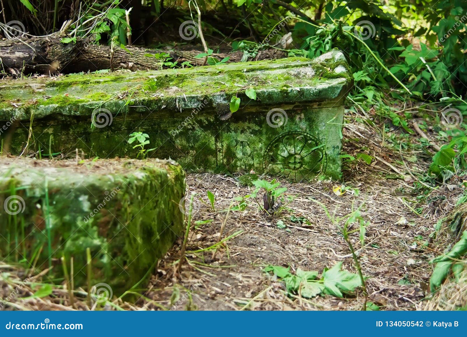 185 Old Tombstone Moss Overgrown Stock Photos - Free & Royalty-Free ...