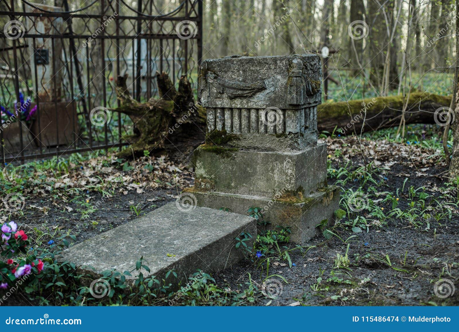 Old Tombstones in Abandoned Cemetery Stock Photo - Image of cemetery ...