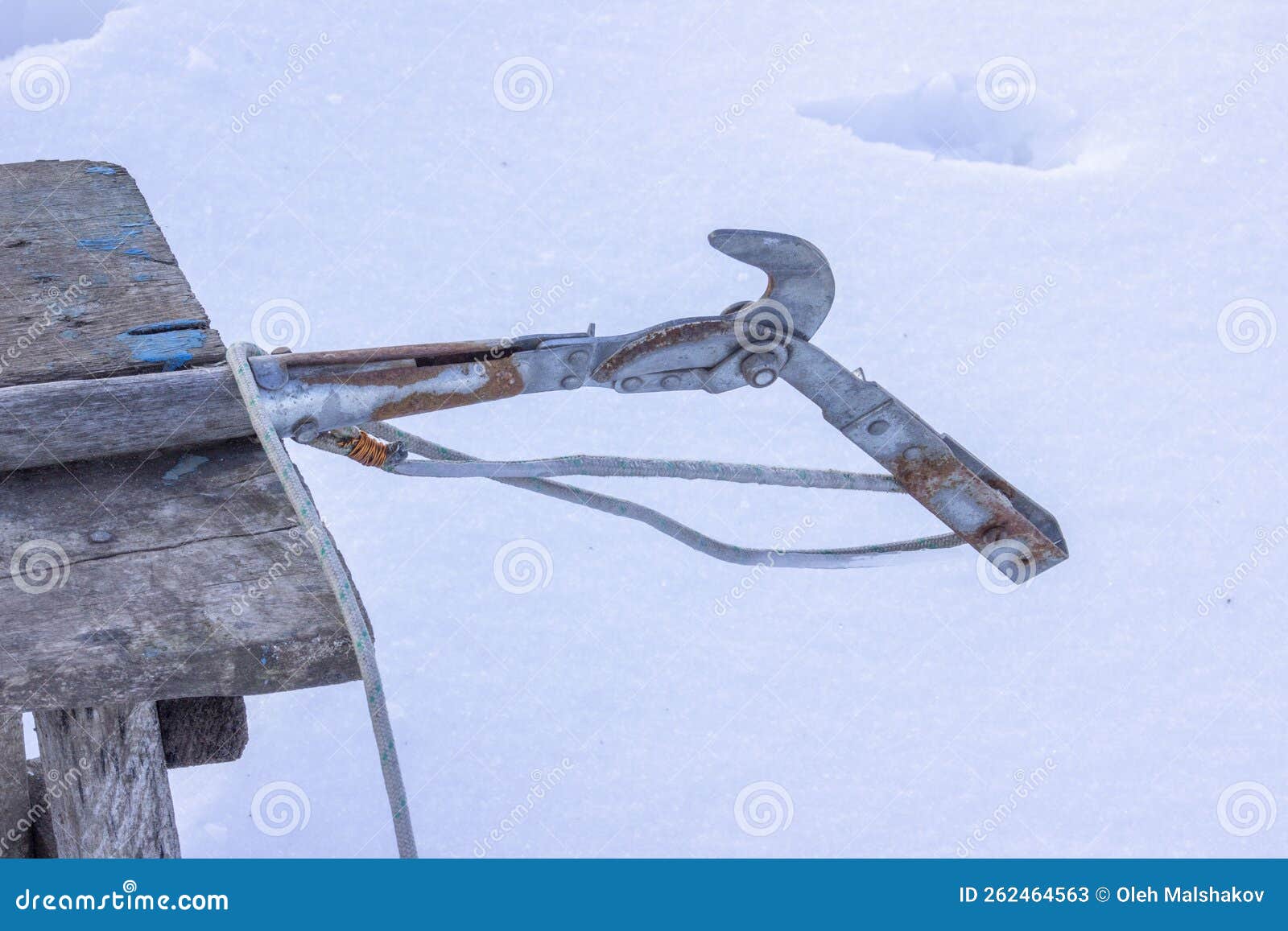 Old tool for pruning trees stock image. Image of trimmer - 262464563