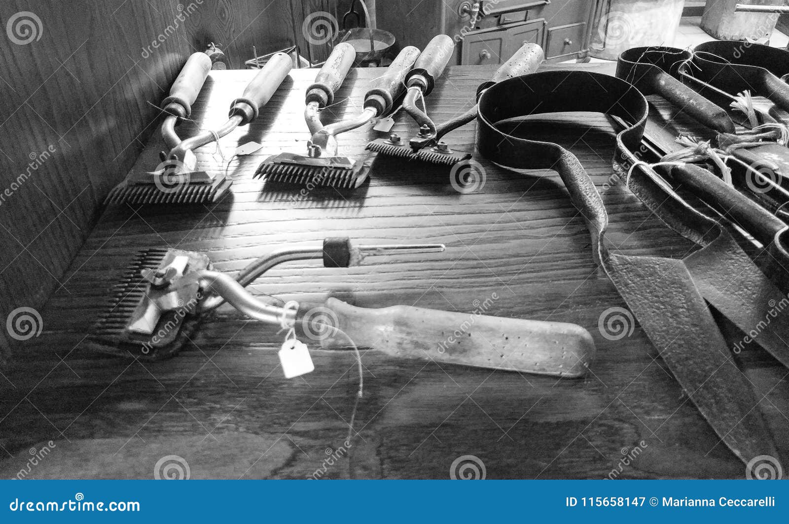 Old Tools for Pruning Sheep and Tools for Cows, Exposed, Inside the ...