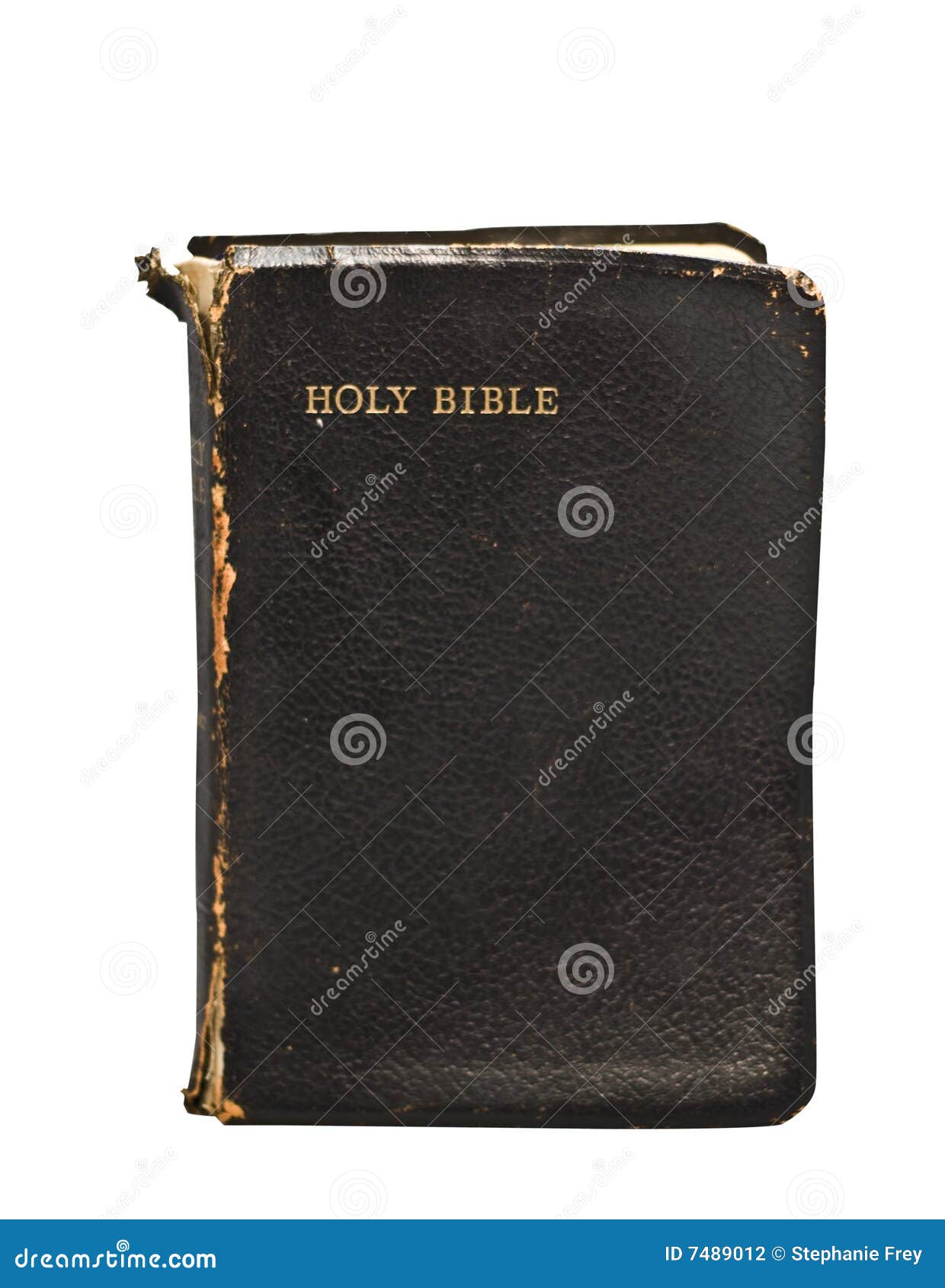 Old torn bible stock photo. Image of holy, worn, religious - 7489012