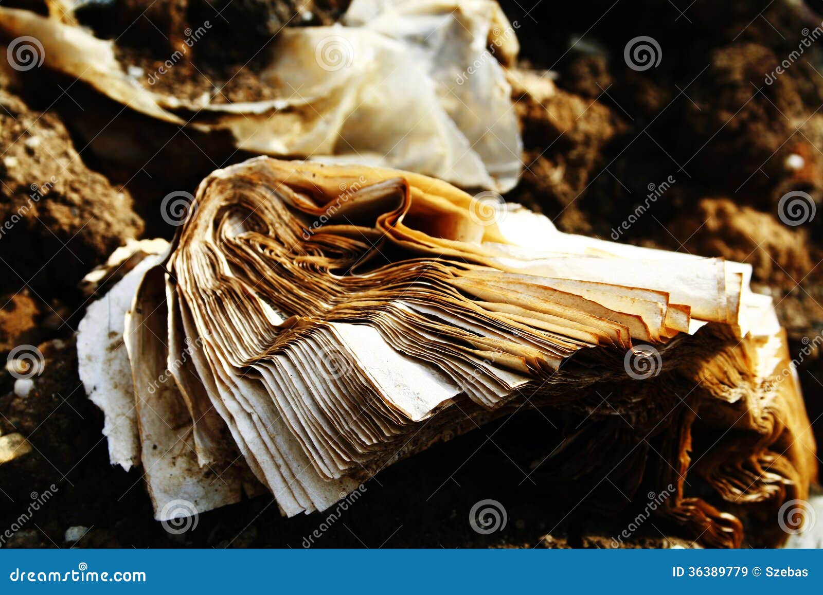 Old torn book stock image. Image of pages, junk, torn - 36389779