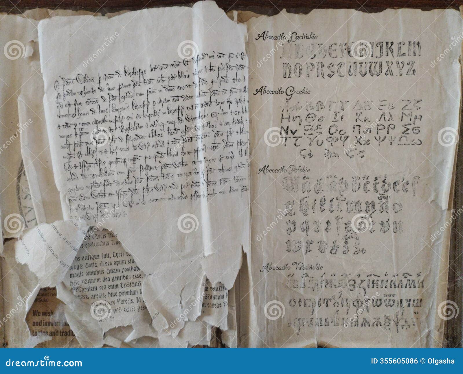 Old Torn Book, Vintage White Background from Old Book Laid Out on Paper ...