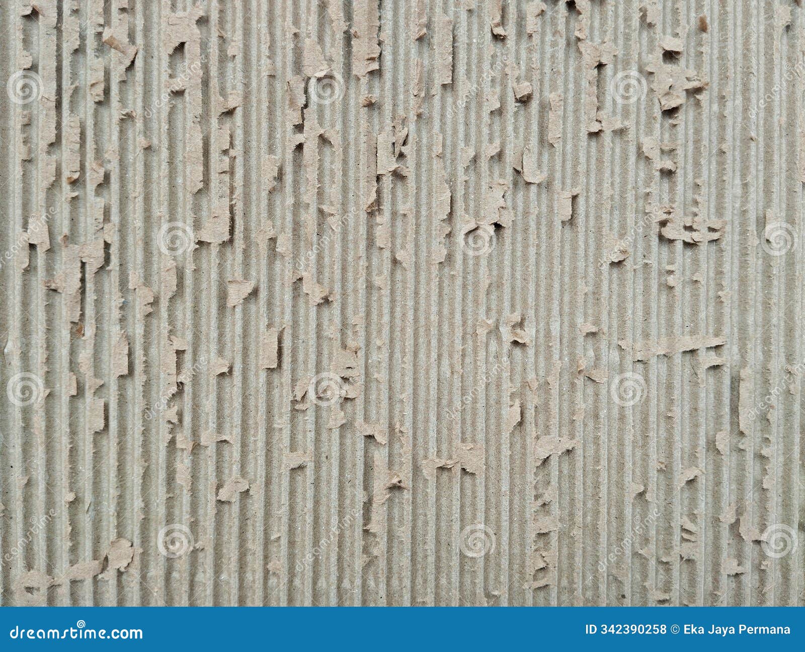 Old Torn Element Frame Cardboard Sheet Stock Photo - Image of element ...