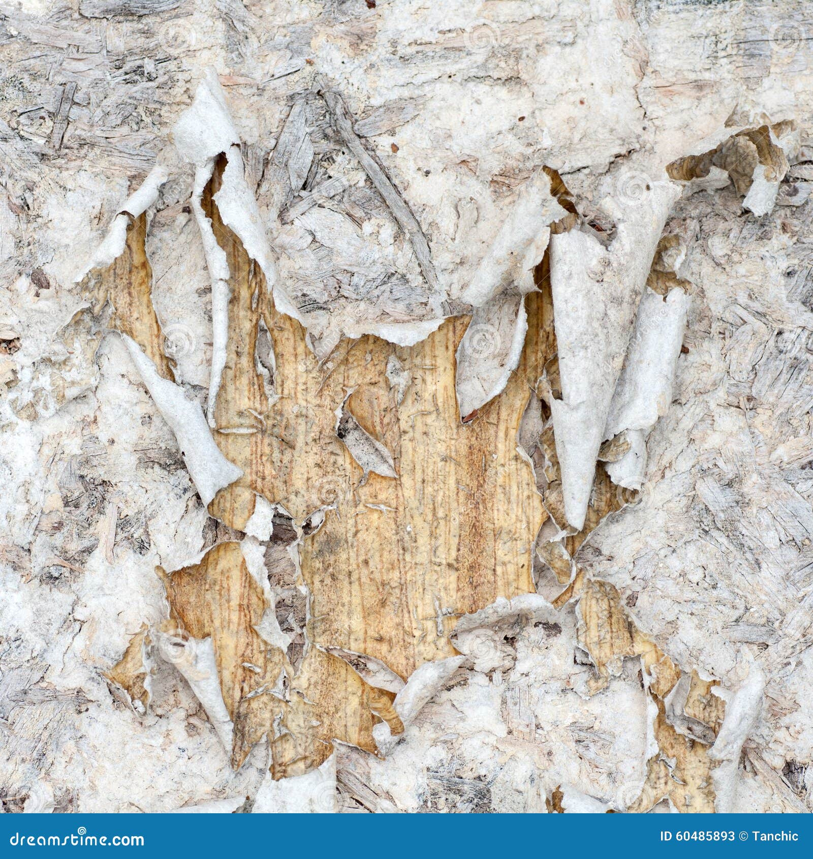 Old Torn Paper on Wood Wall Stock Image - Image of peeling, rough: 60485893