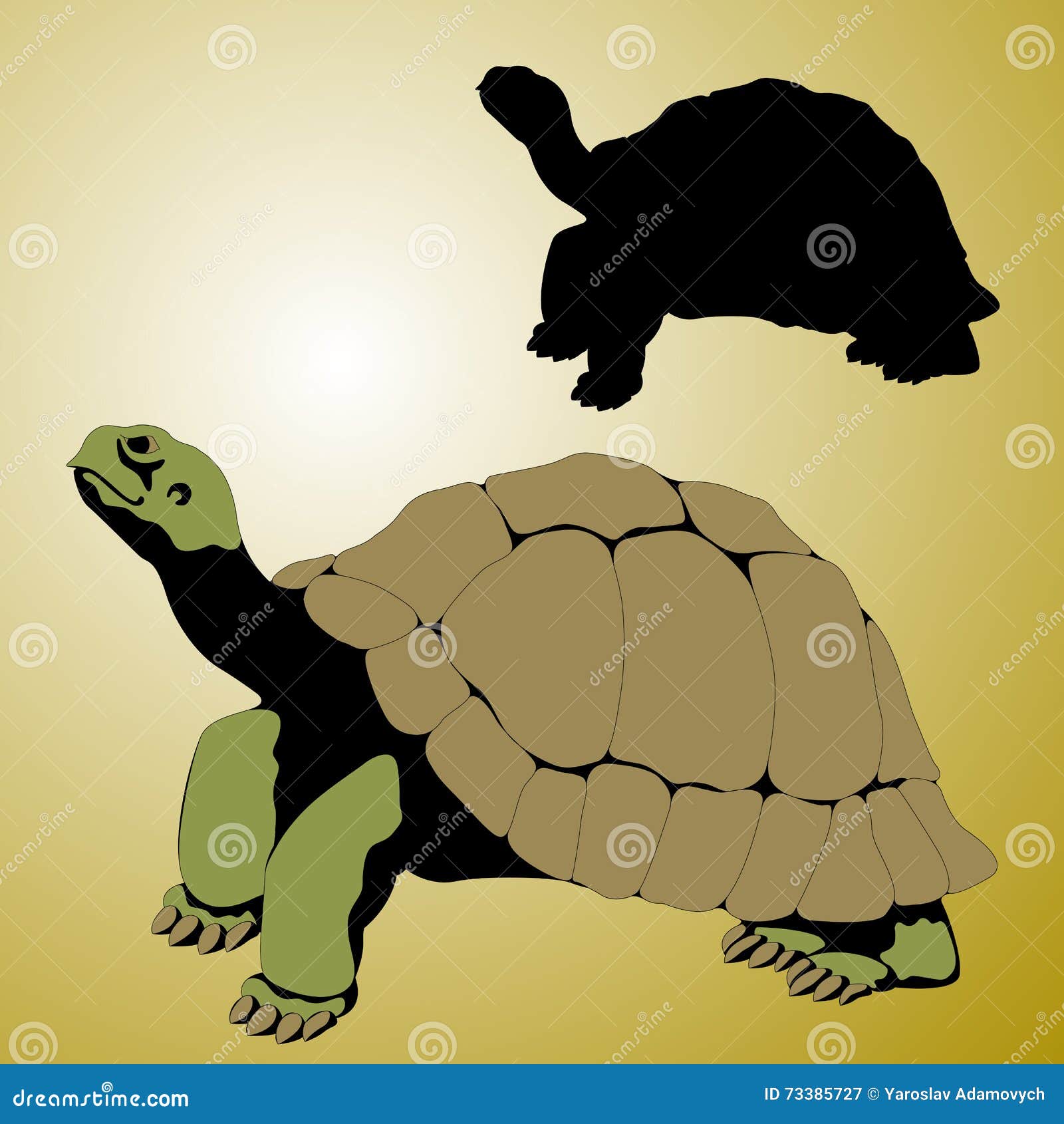 Aldabra Tortoise Silhouette
