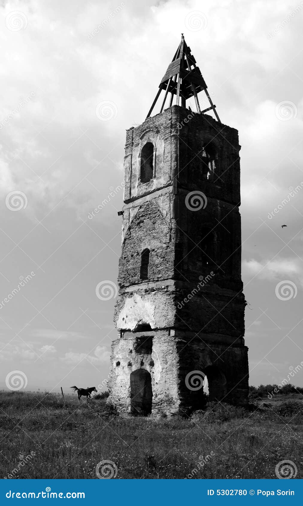Old tower stock photo. Image of romania, goth, gothic - 5302780