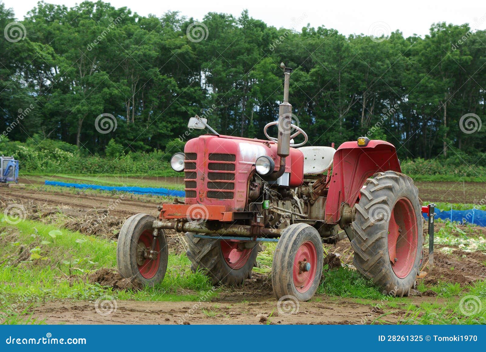 Old tractor stock image. Image of tractor, agriculture - 28261325