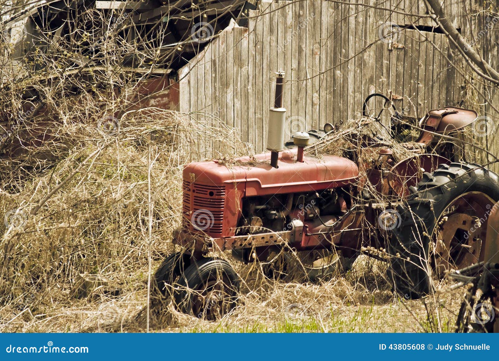 Old Tractor and Barn stock photo. Image of equipment - 43805608
