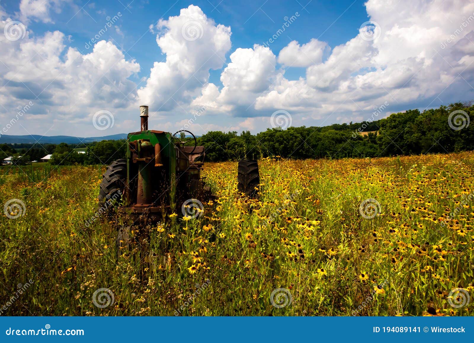Old tractor in a field stock image. Image of vintage - 194089141