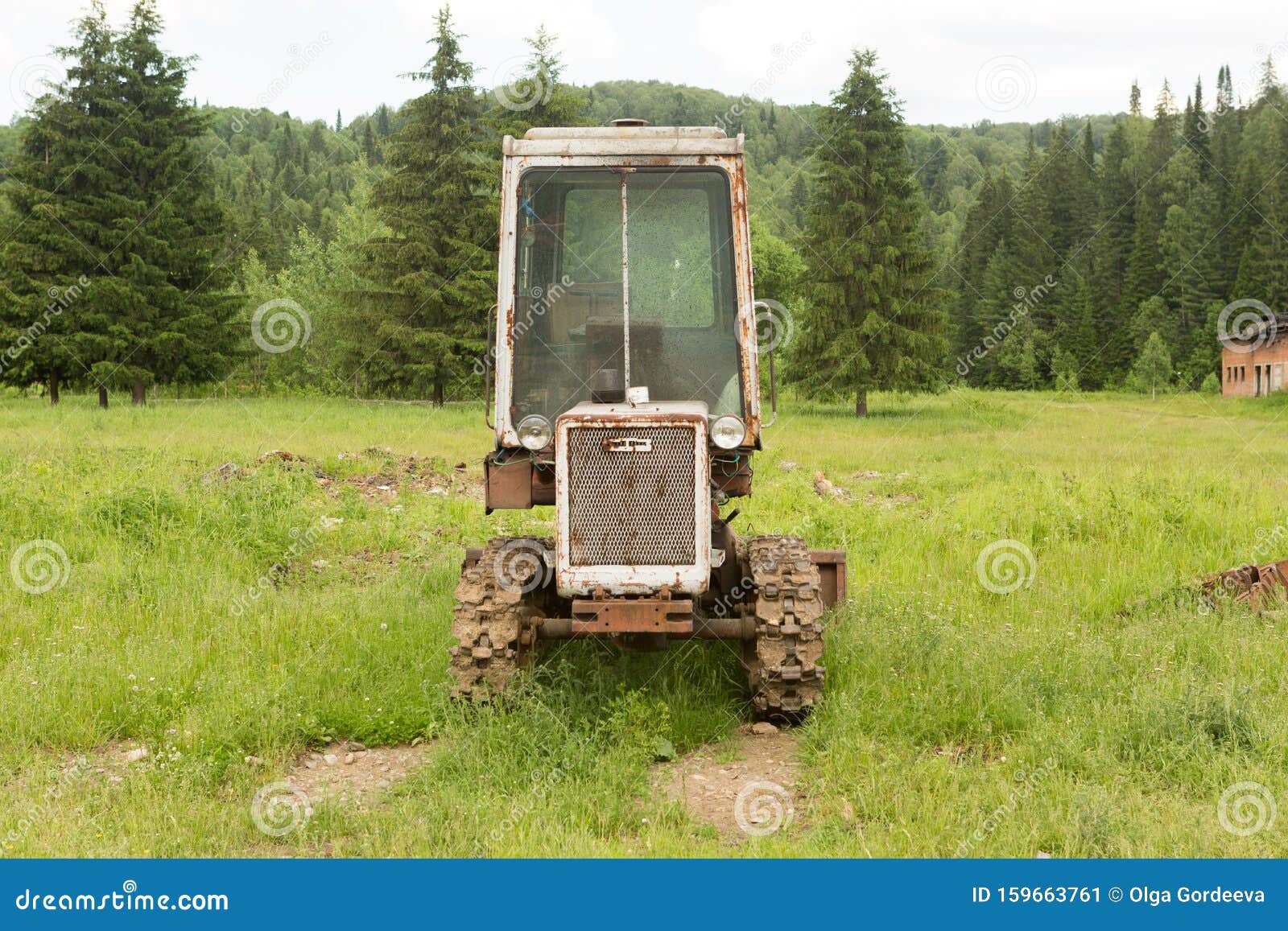 Old Tractor on a Field in the Village in the Summer Stock Image - Image ...