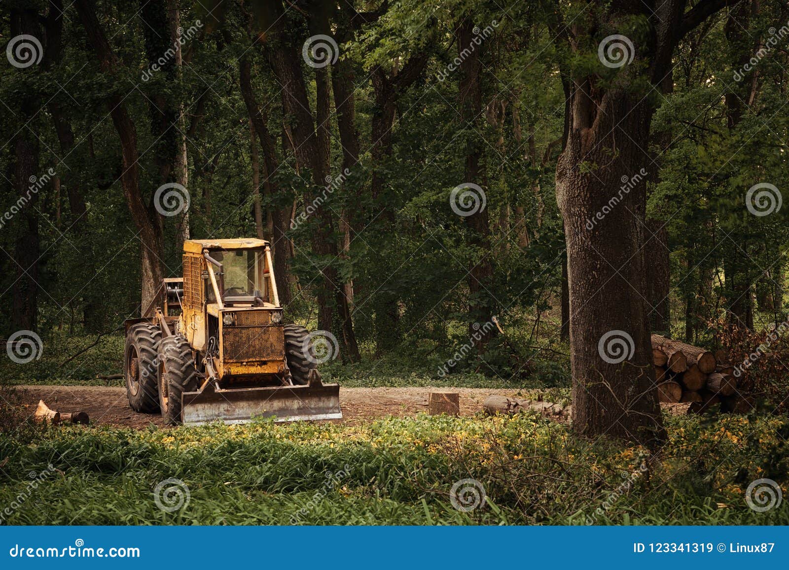 Tractor in the forest stock image. Image of energy, natural - 123341319