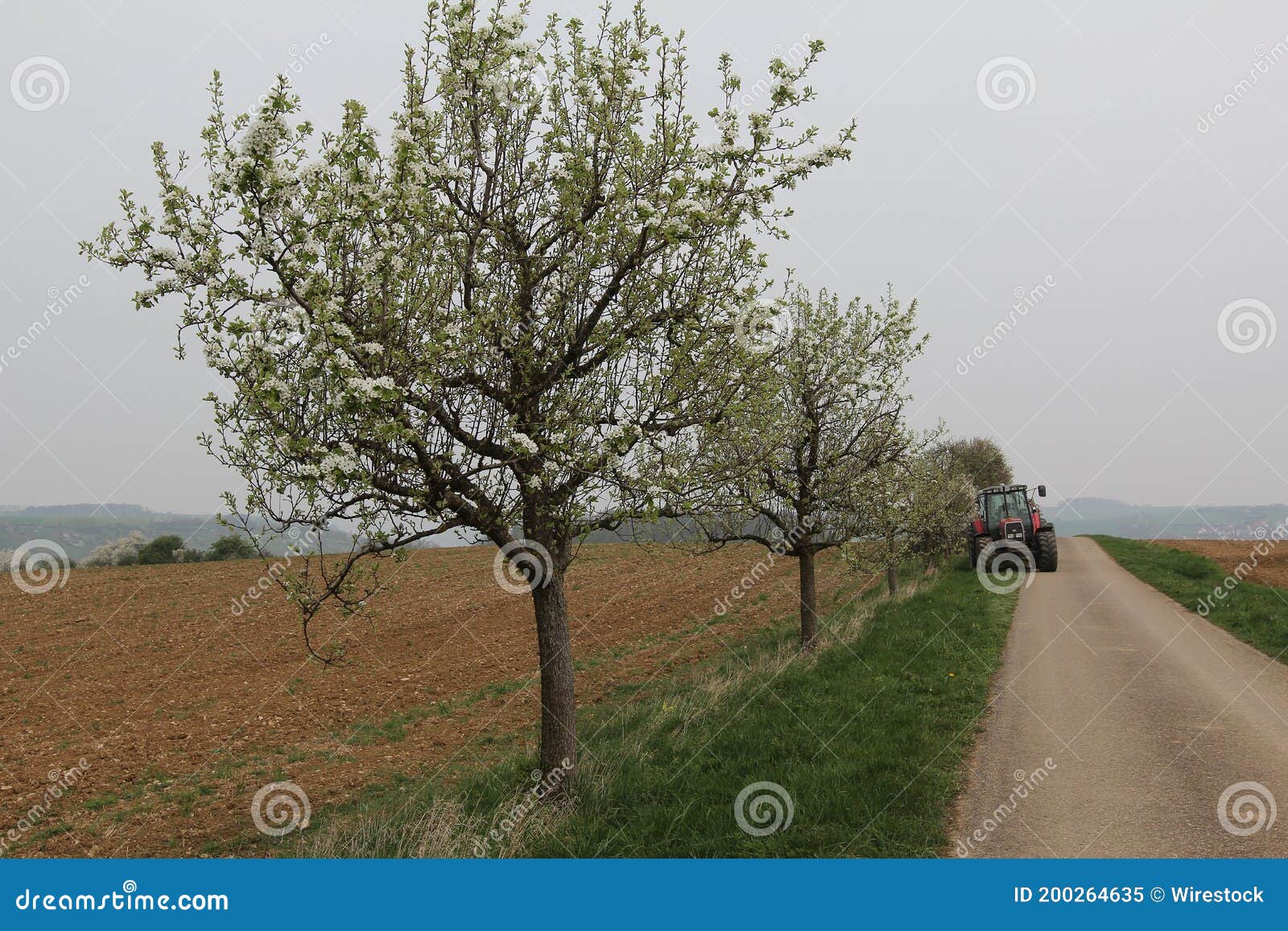 Old Tractor on a Pathway Surrounded by Trees Stock Image - Image of ...