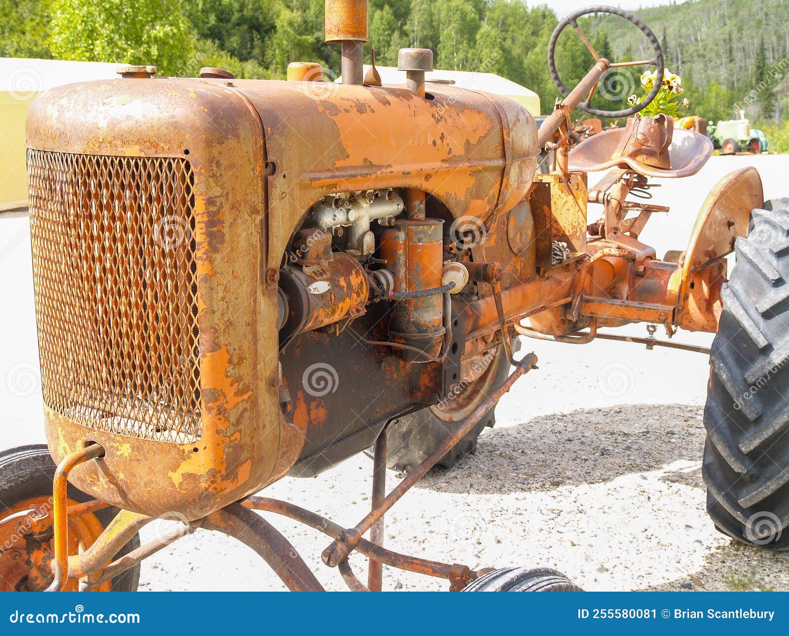 Old tractor rusting away stock image. Image of bygone - 255580081