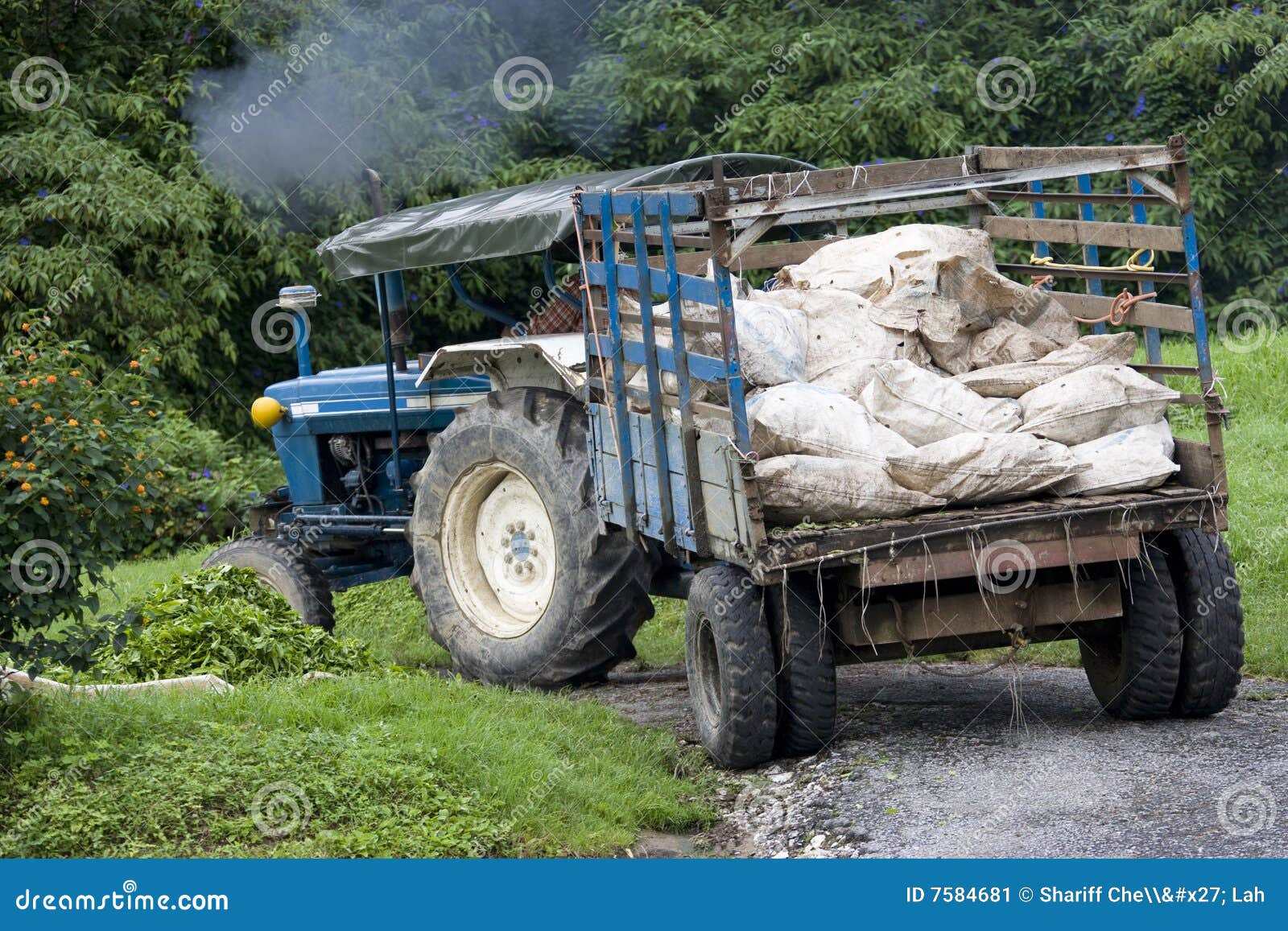 Old Tractor at Tea Plantation Stock Image - Image of leaf, tractor: 7584681