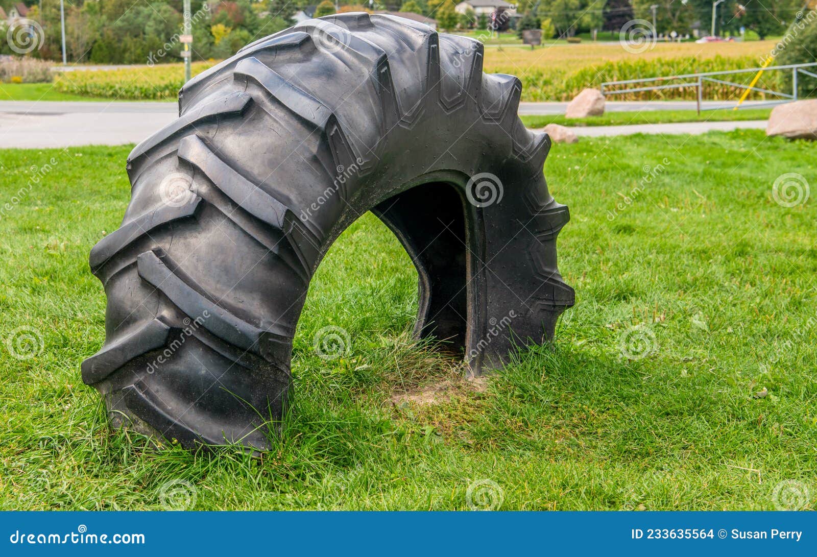 Old Tractor Tire in the Grass, Half in Ground Stock Photo - Image of ...
