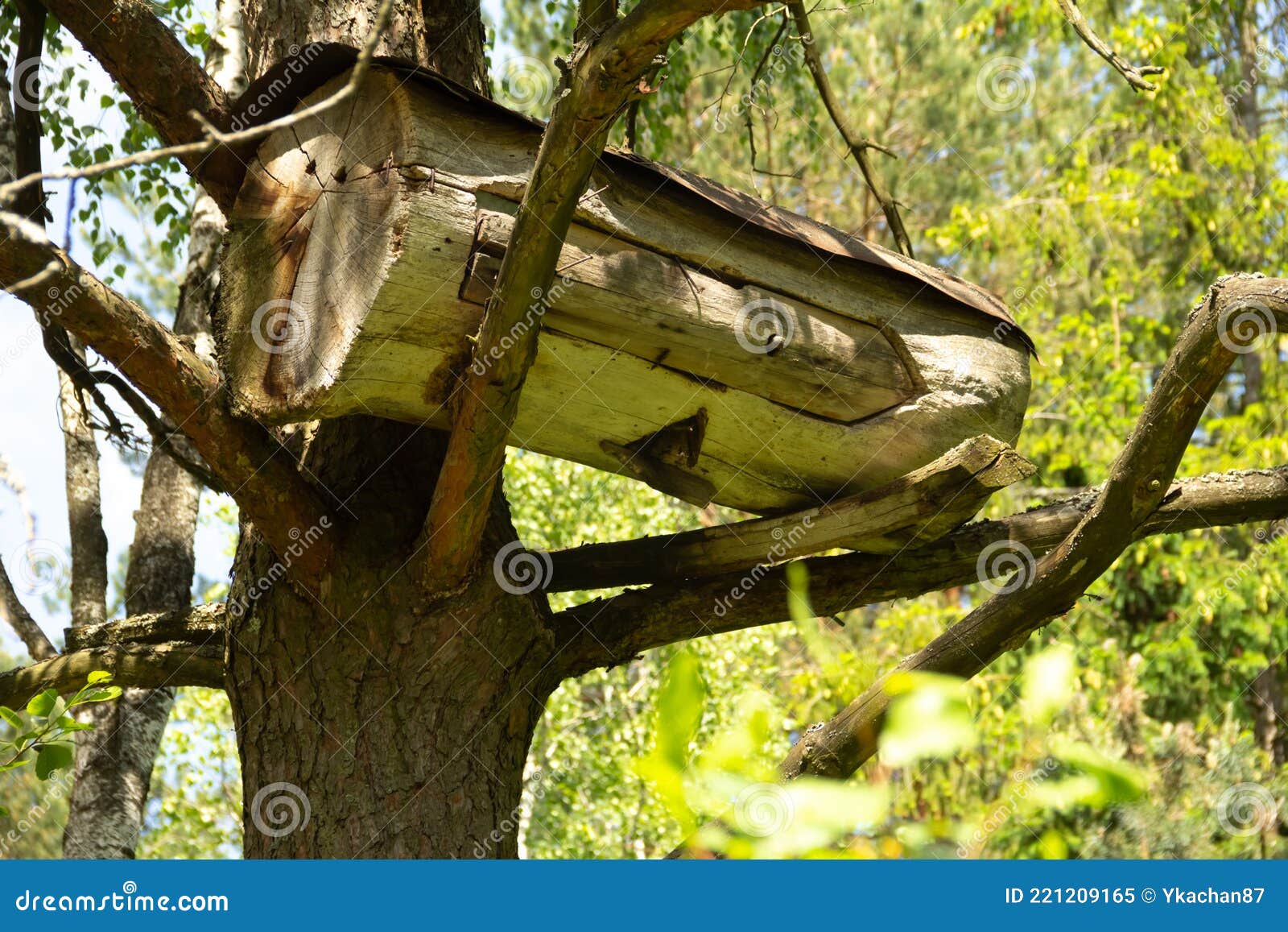 Old Traditional Ancient Authentic Beehive Made on the Log on a Big Tree ...