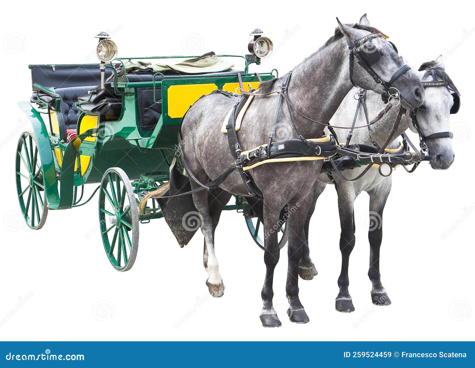 Old Traditional Carriage Pulled by a Gray Couple of Horses - Image ...