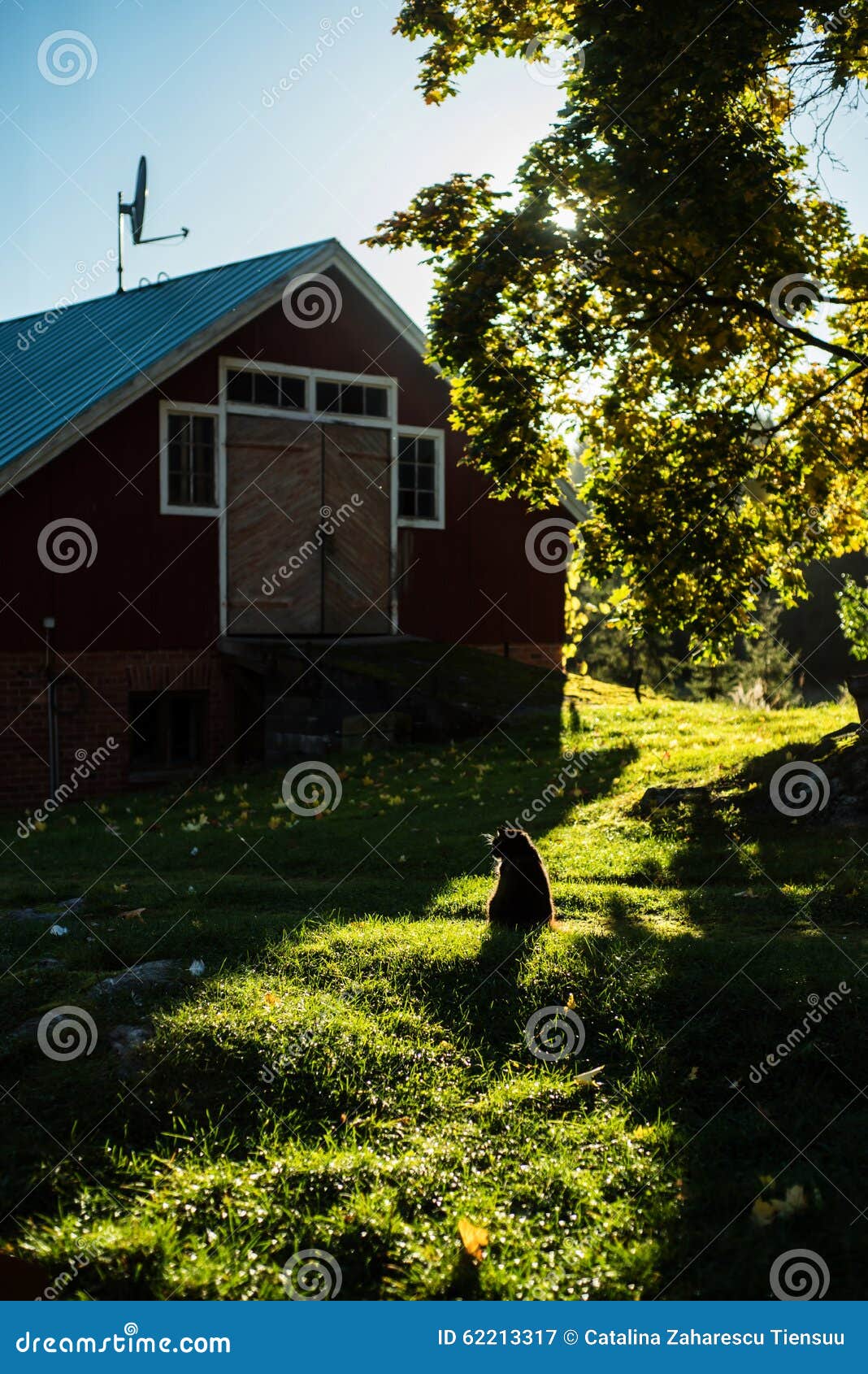Old Traditional Finnish Barn Stock Image - Image of wood, trees: 62213317