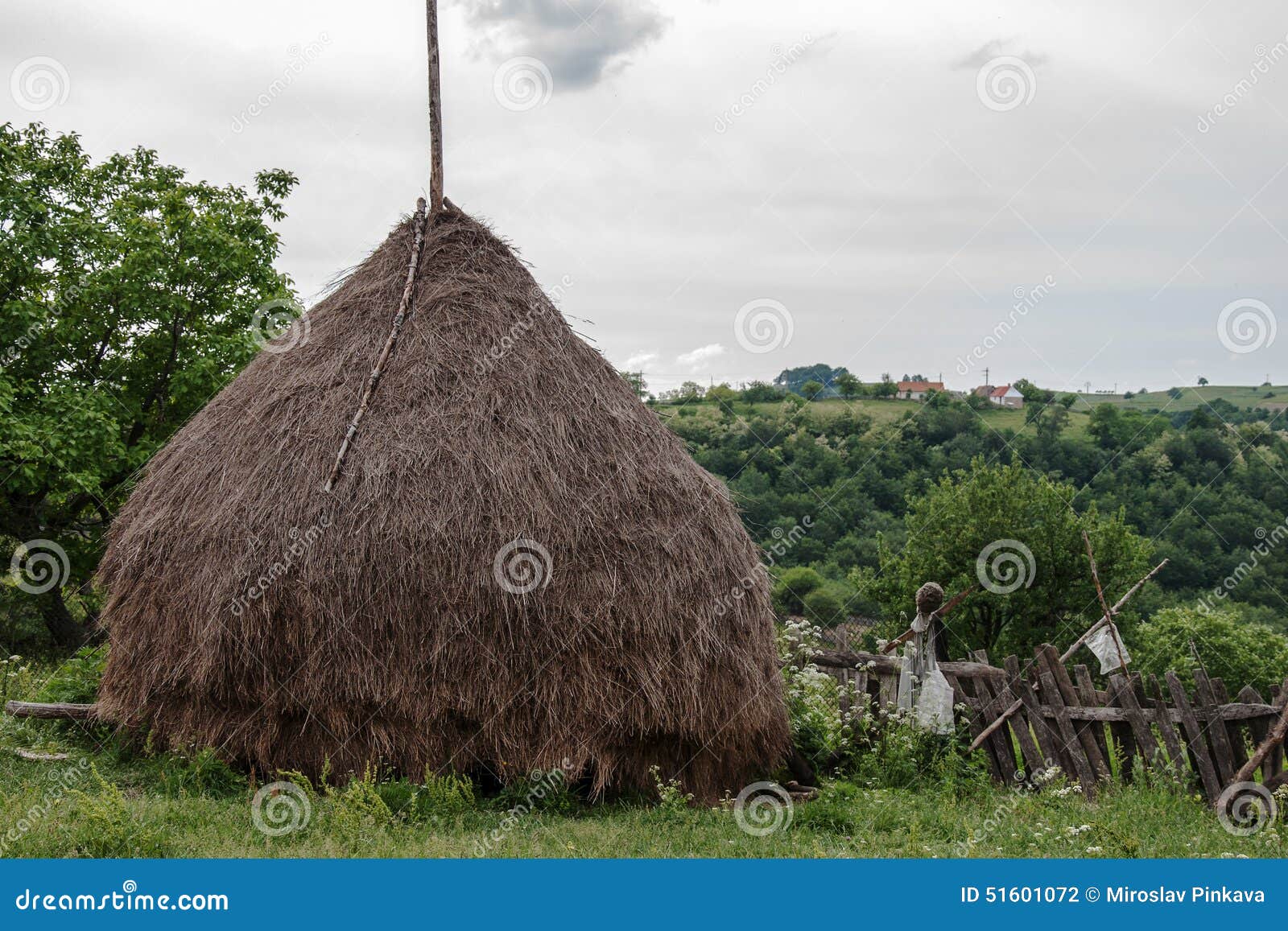 Old Traditional Haystack stock photo. Image of field - 51601072