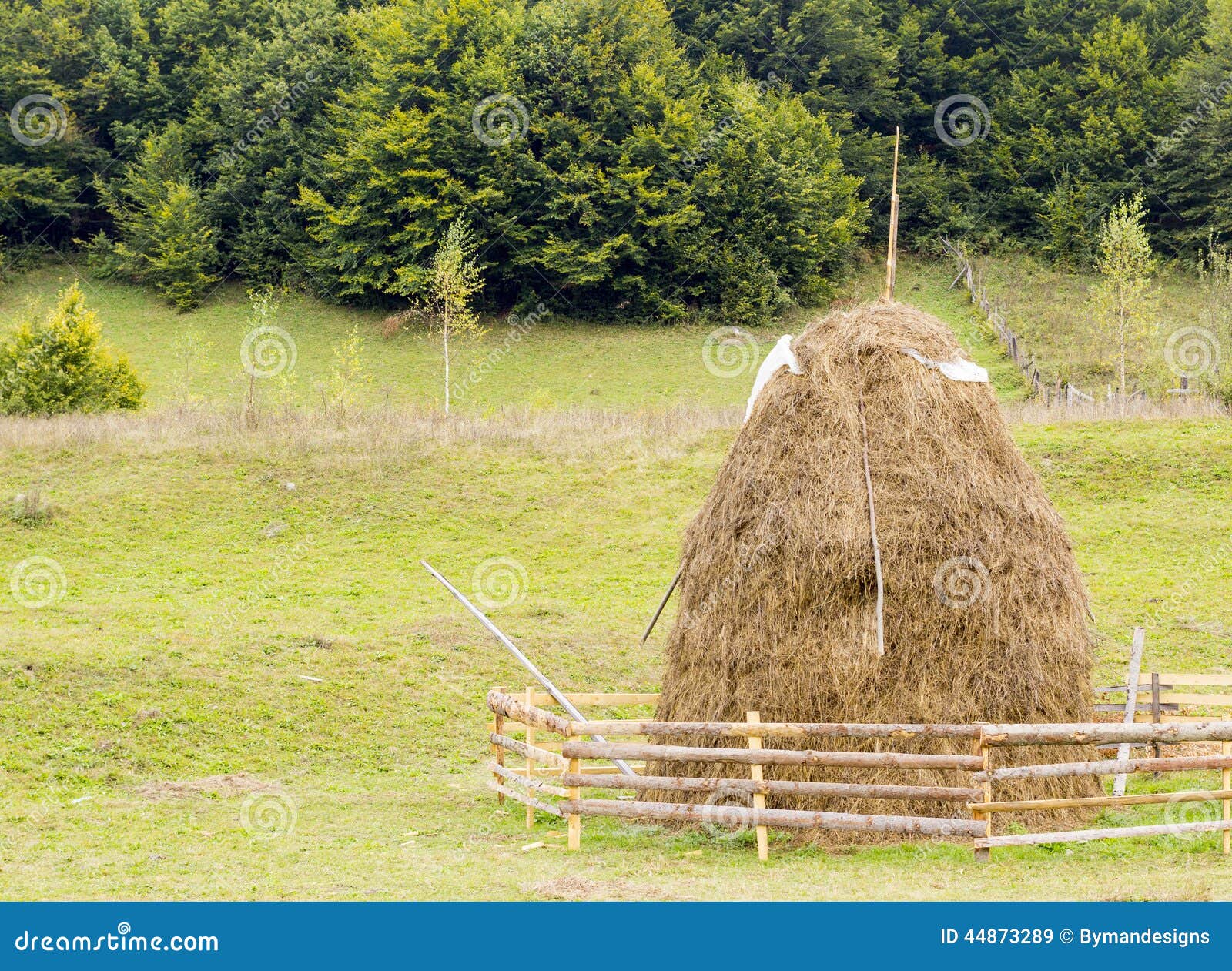 Old traditional haystacks stock image. Image of landscape - 44873289