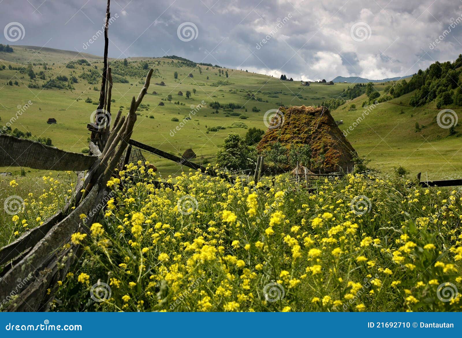 Old Traditional Romanian Barn with Straw Roof Stock Photo - Image of ...