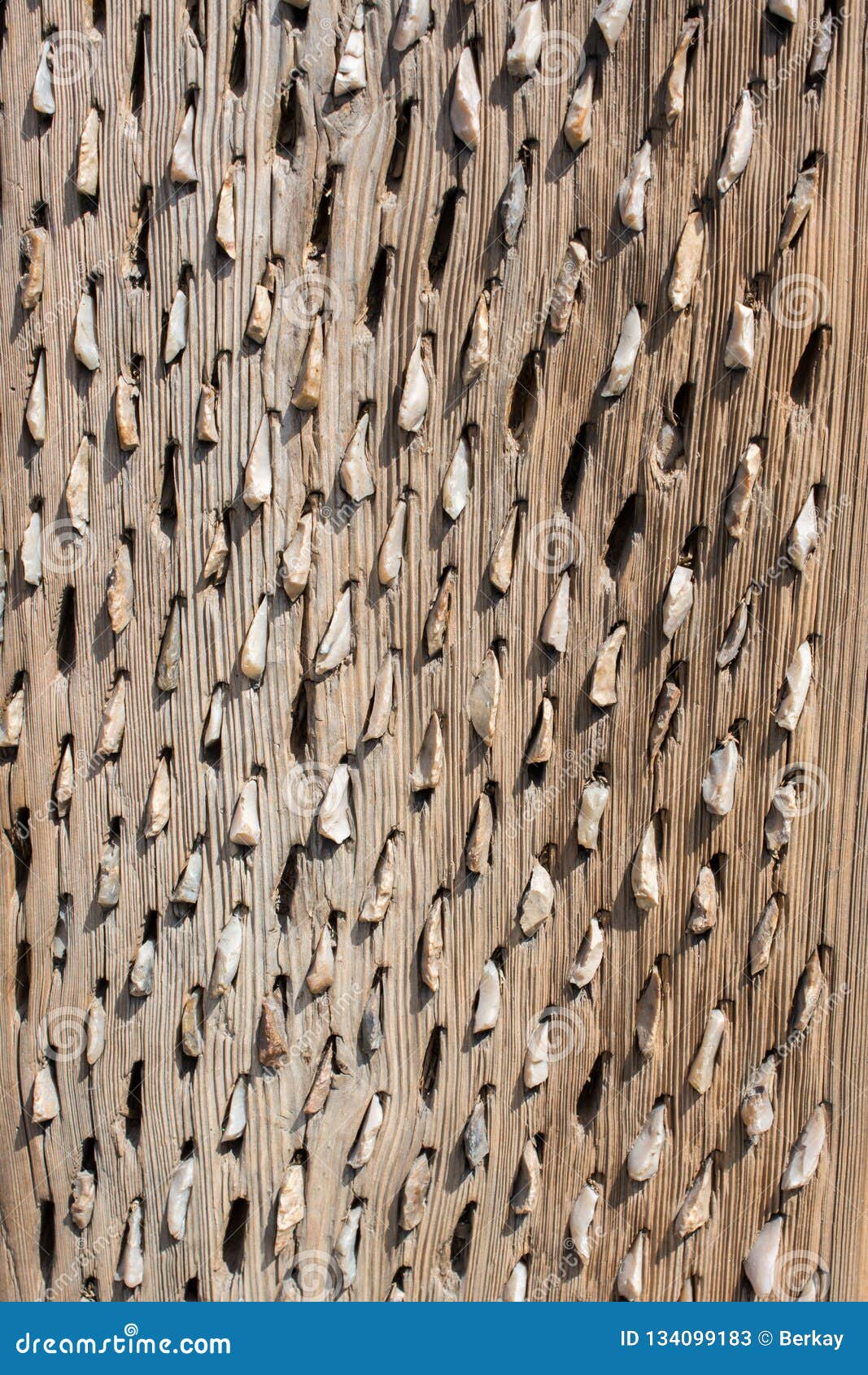 An Old Traditional Threshing Sled on Display Stock Image - Image of ...