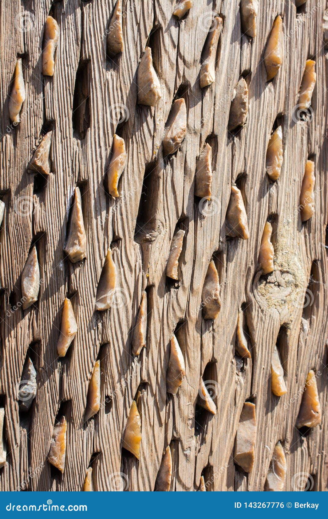 An Old Traditional Threshing Sled on Display Stock Photo - Image of ...