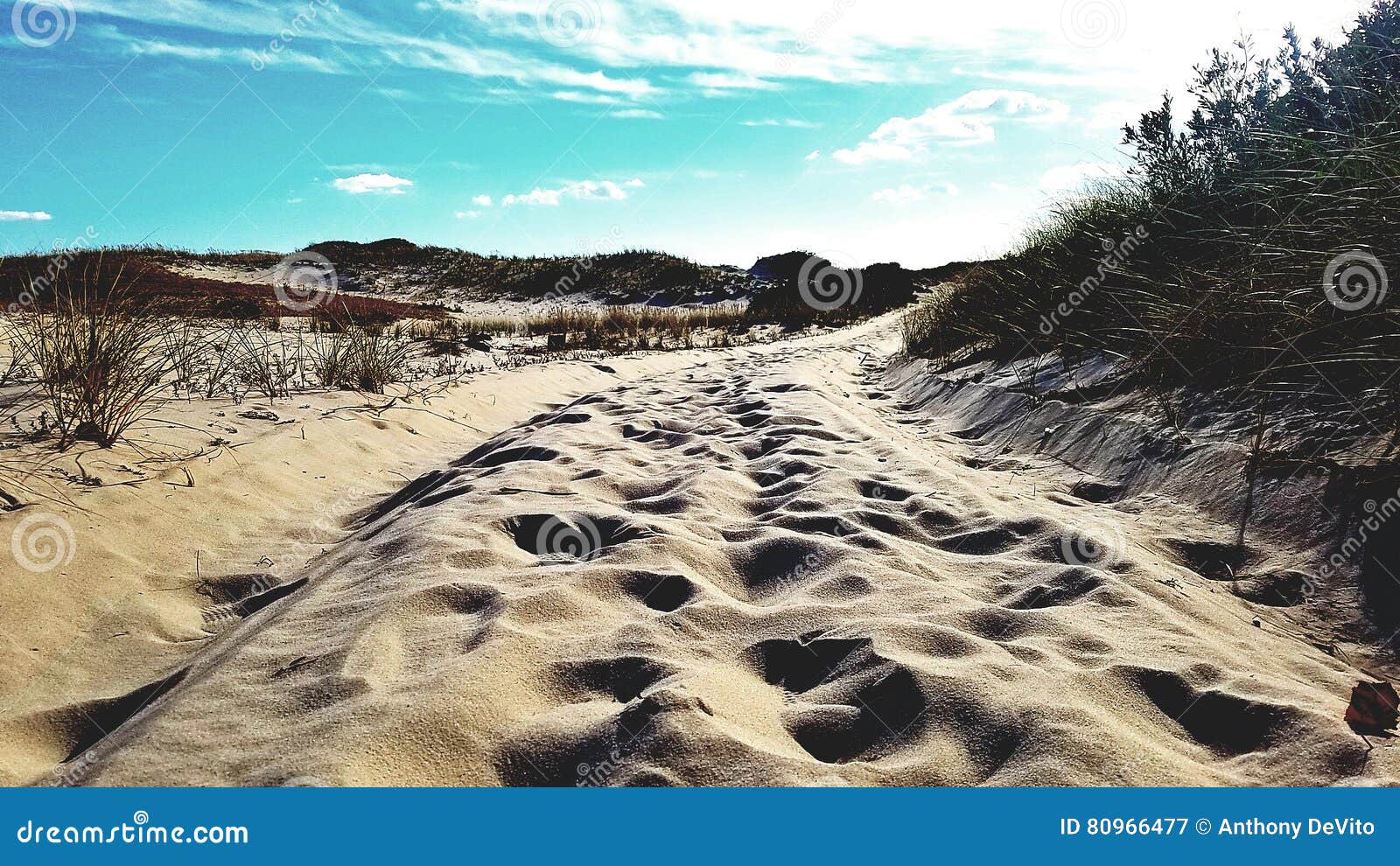 An old trail stock image. Image of trail, state, island - 80966477