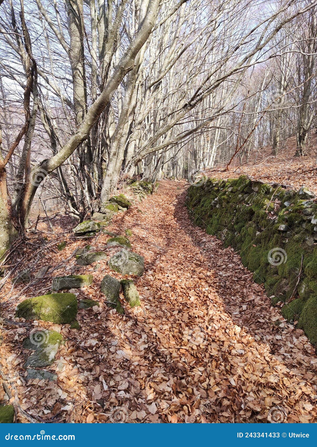 Old Trail stock image. Image of stones, autumn, trail - 243341433