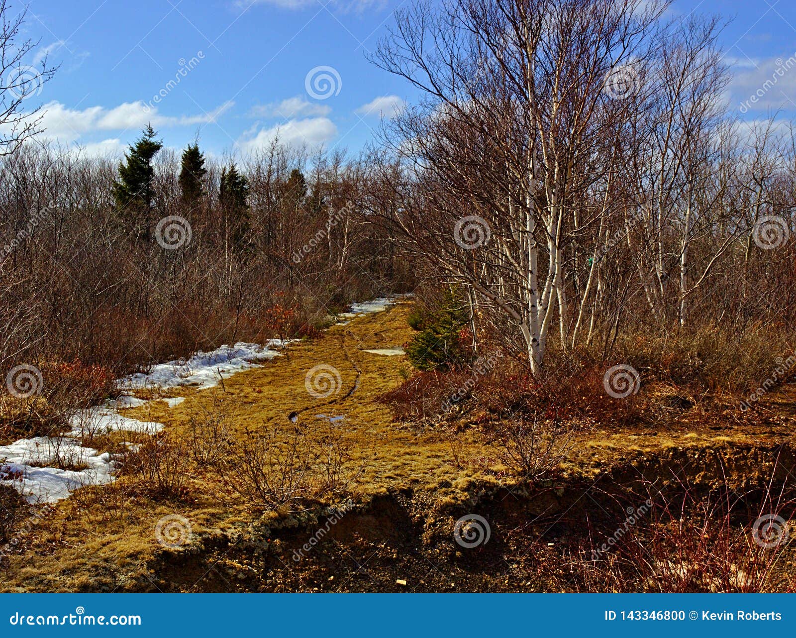 Old trail stock photo. Image of hiking, forest, path - 143346800
