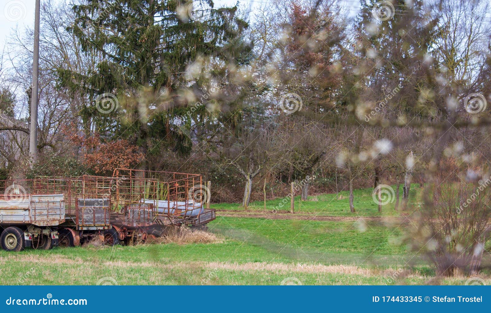 Old Trailers from Agriculture Photographed through a Bush Stock Image ...
