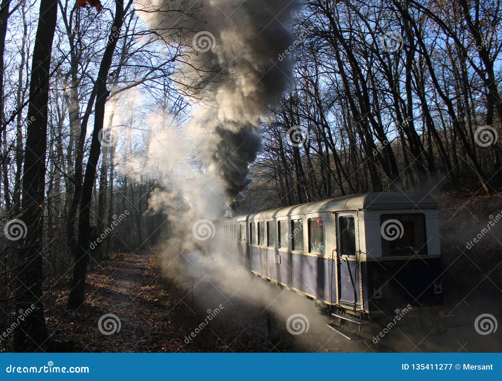 Old train in a forest stock image. Image of woods, tree - 135411277
