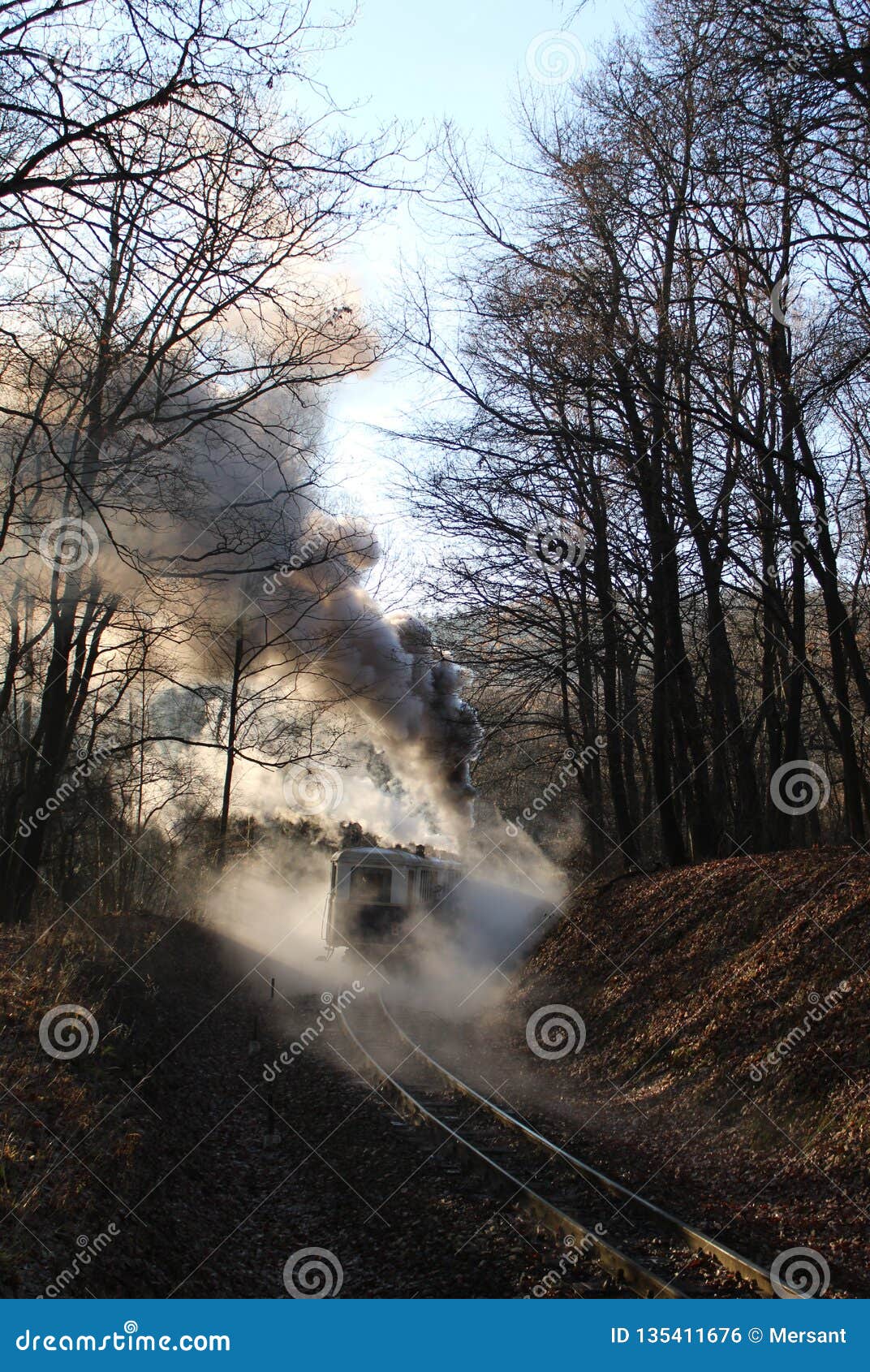 Old train in a forest stock photo. Image of train, cold - 135411676