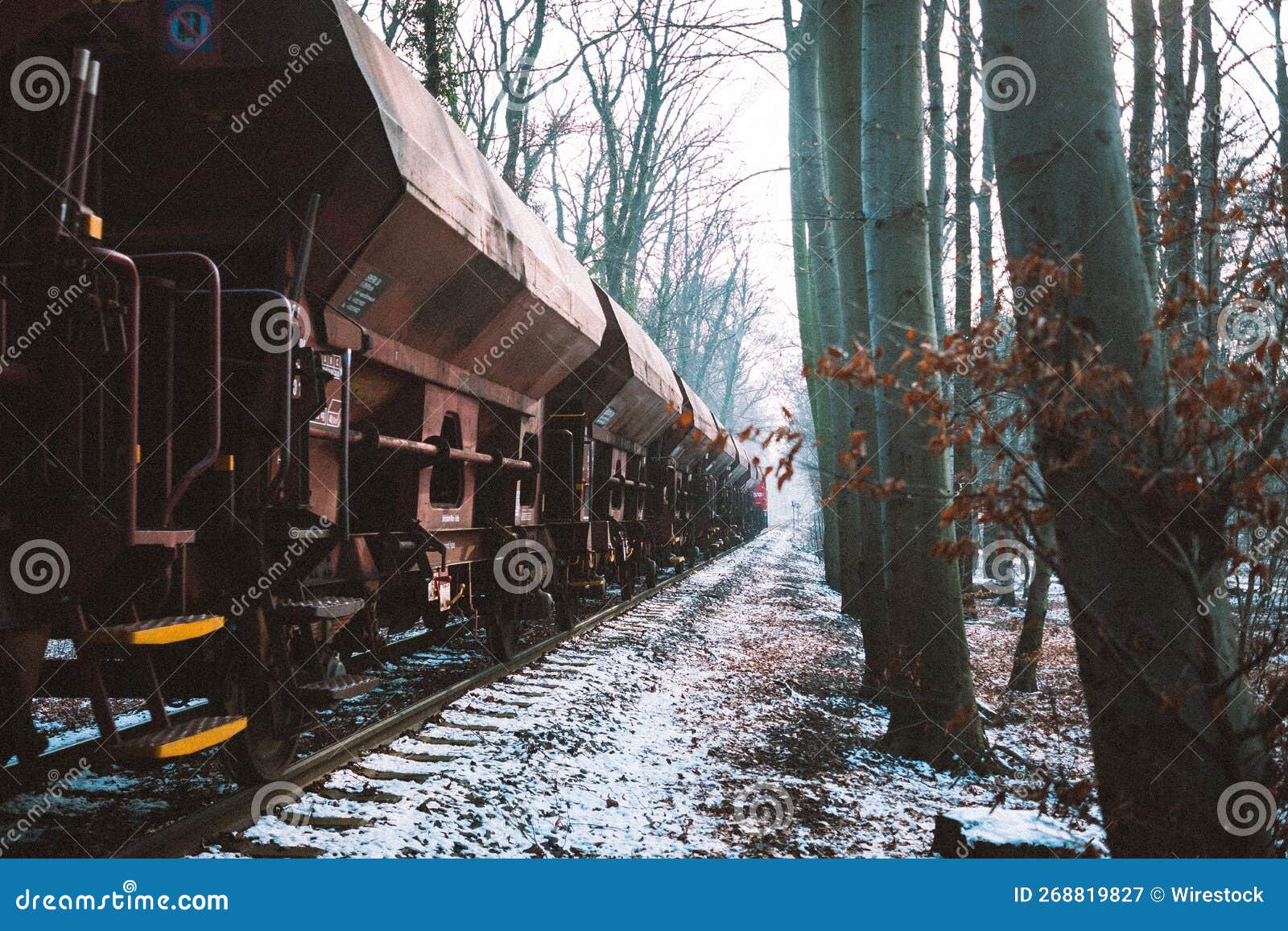 An Old Train Passes through a Forest with Snow in Winter. the Wagons ...
