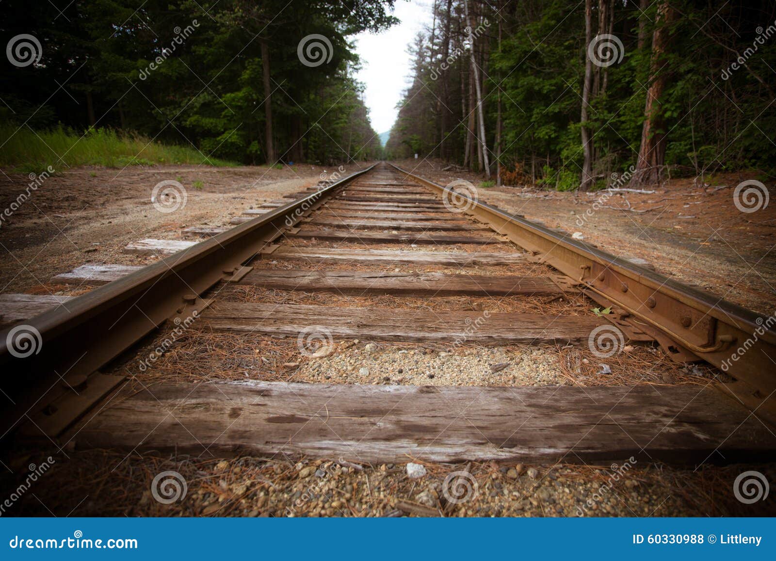 Old Train Track stock photo. Image of rail, transportation - 60330988