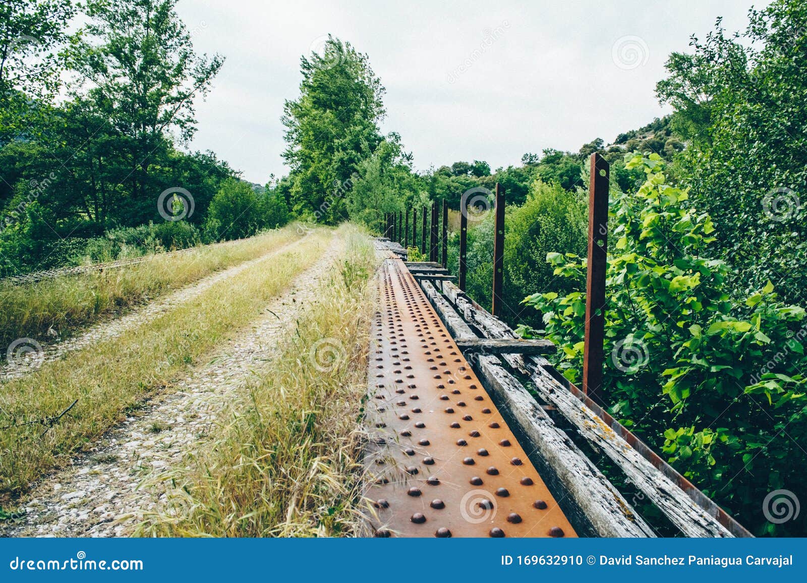 Old Train Track between Trees with Cloudy Sky Stock Photo - Image of ...