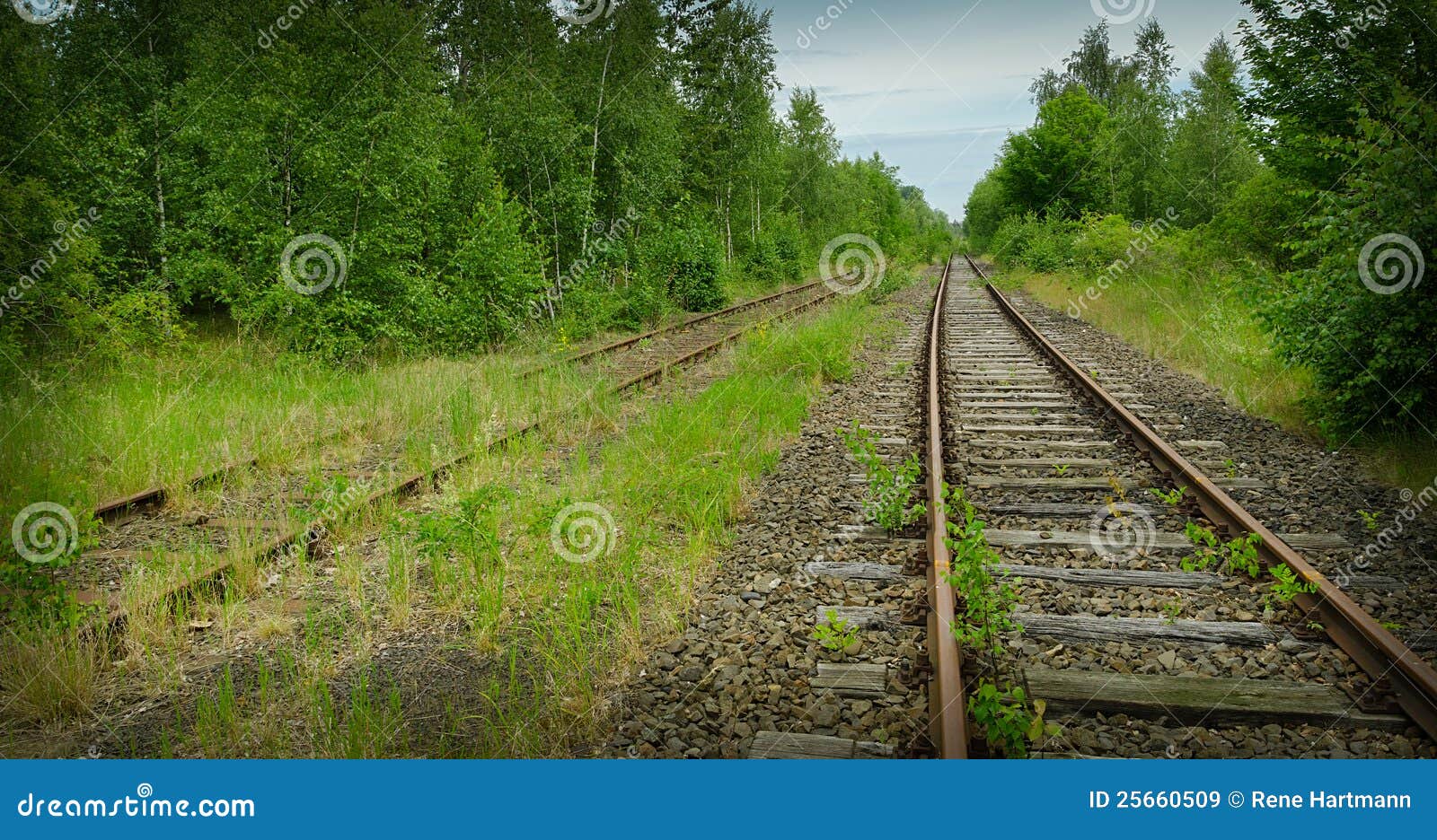 Old train tracks stock image. Image of lost, ballast - 25660509