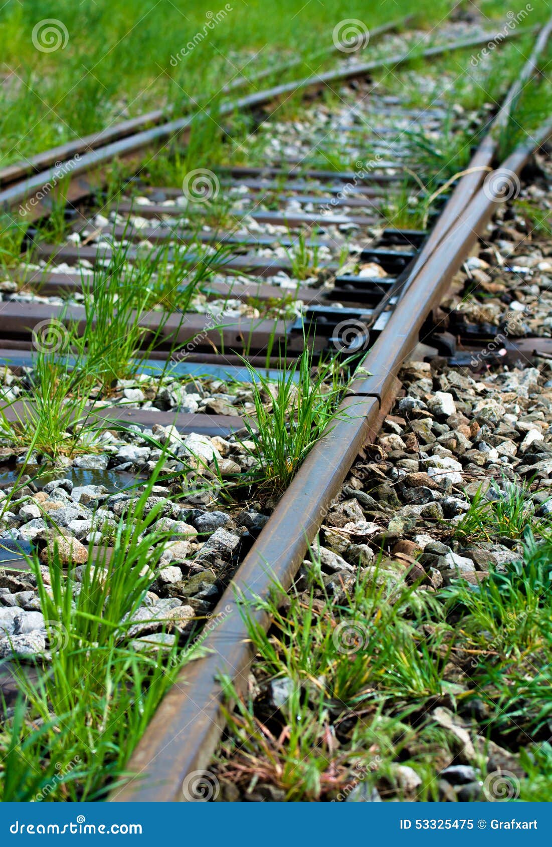 Old Train Tracks stock image. Image of direction, journey - 53325475