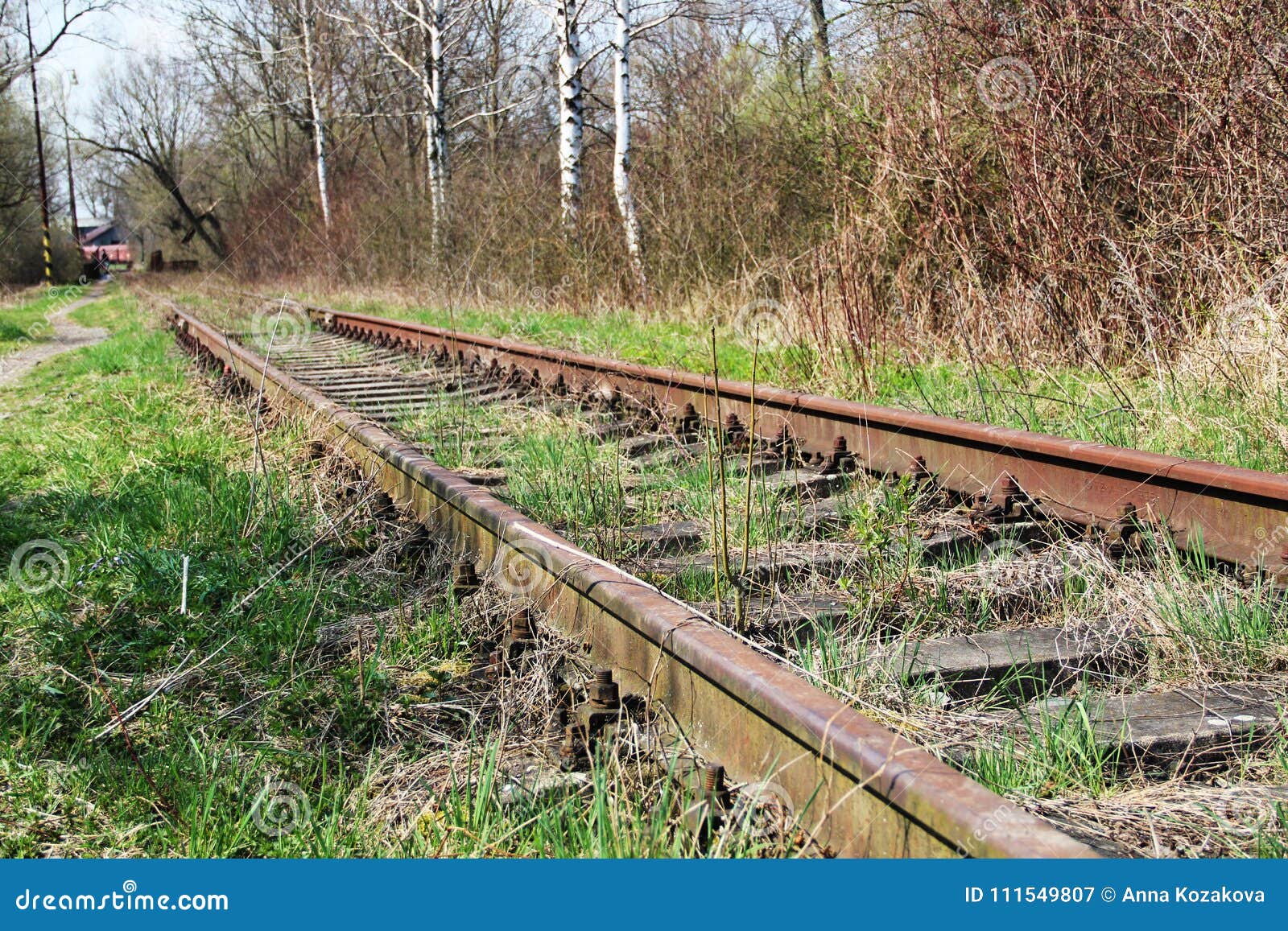 The Old Train Tracks Covered with Grass Stock Image - Image of tree ...