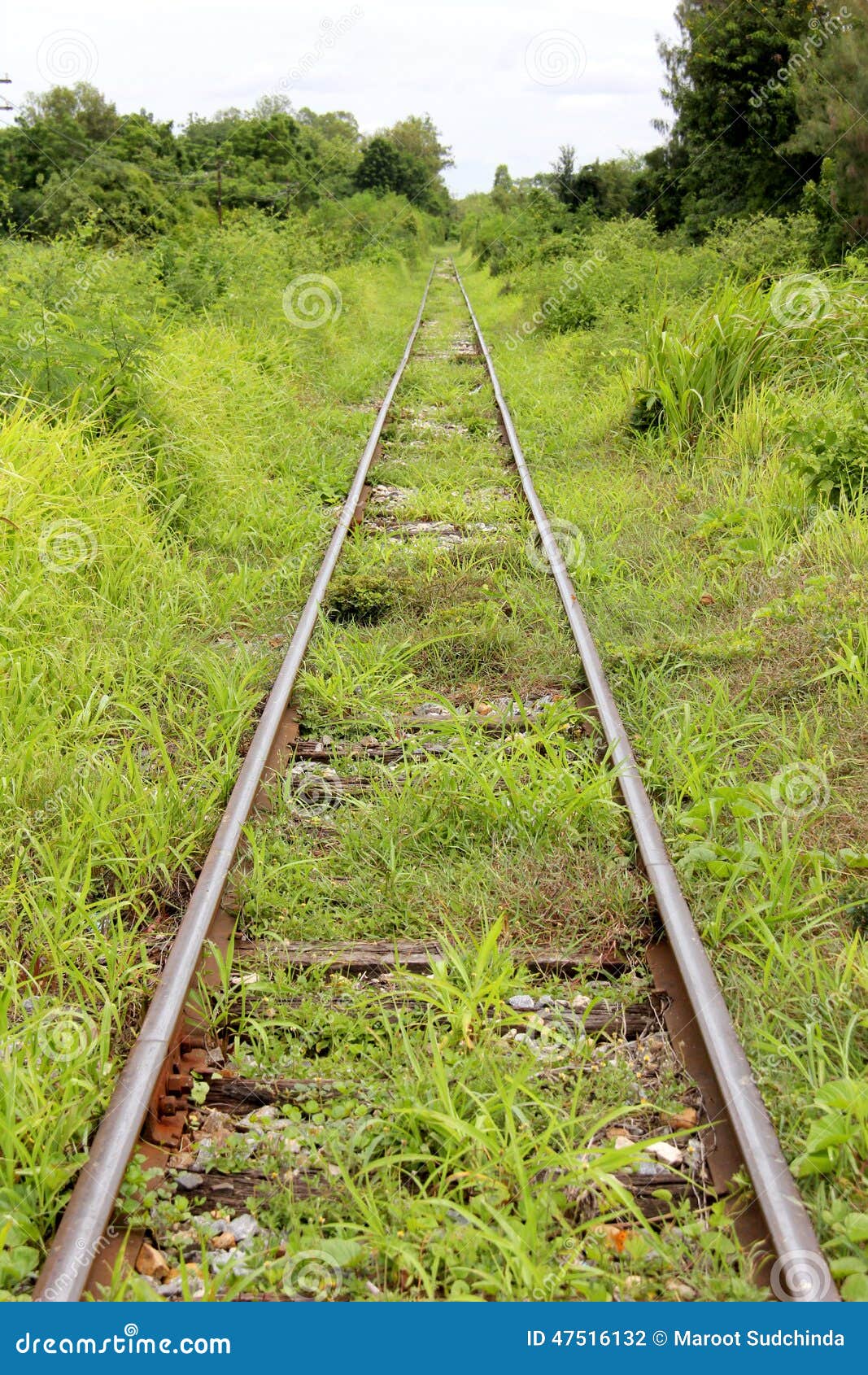 Old train tracks stock photo. Image of landscape, journey - 47516132