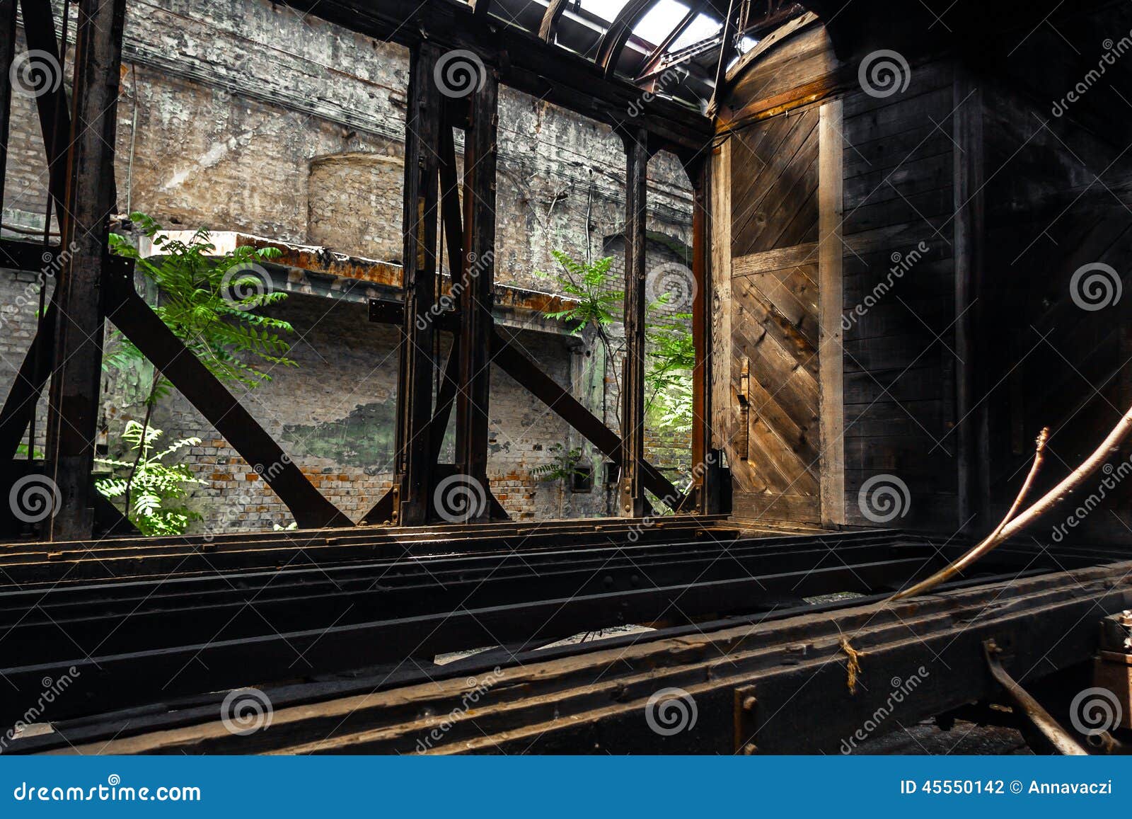 Old Trains at Abandoned Train Depot Stock Photo - Image of power ...