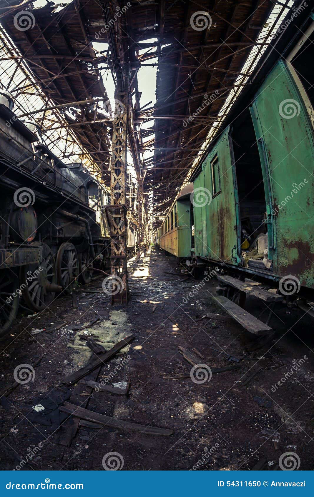 Old Trains at Abandoned Train Depot Stock Photo - Image of railway ...