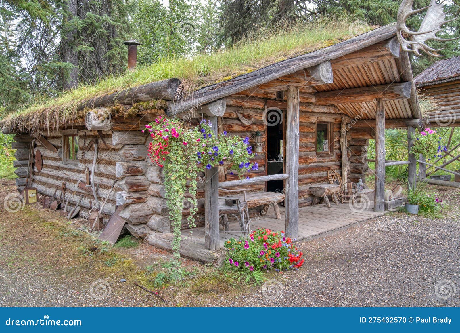 Old Trapper S Cabin in Alaska Stock Photo - Image of wood, building ...
